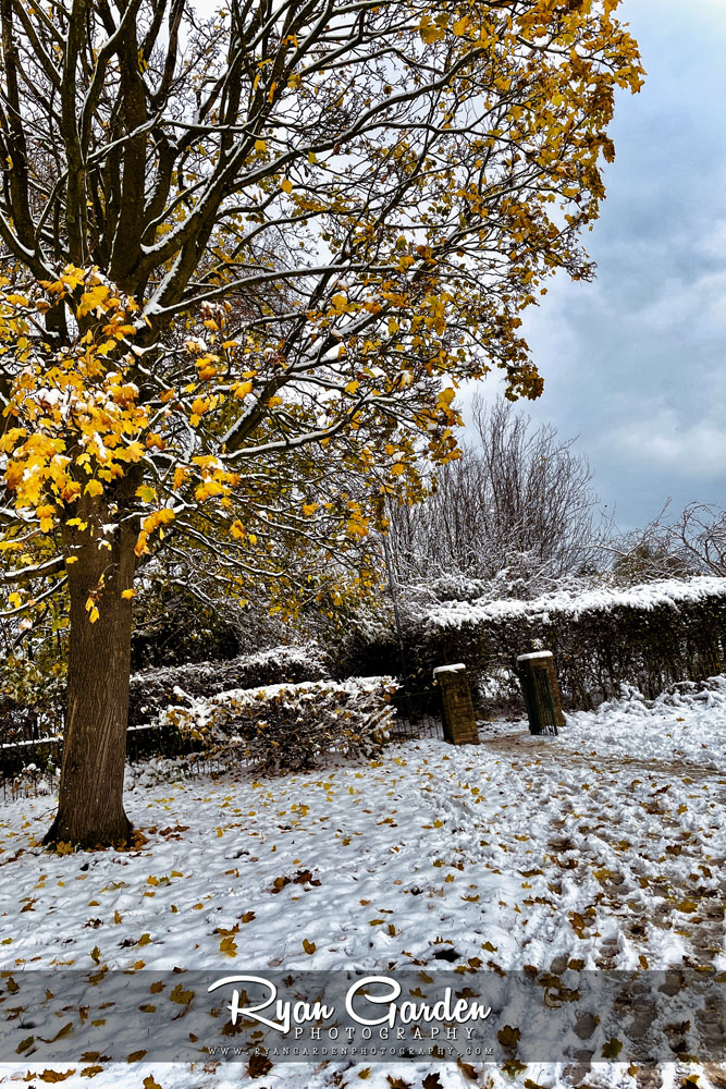 Autumn Meets Winter – Ryan Garden Photography