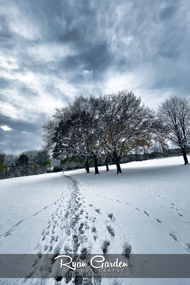 November Snow – Ryan Garden Photography
